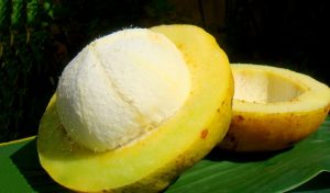 Bacuri Fruta: Para que serve, valor nutricional, benefícios e ...