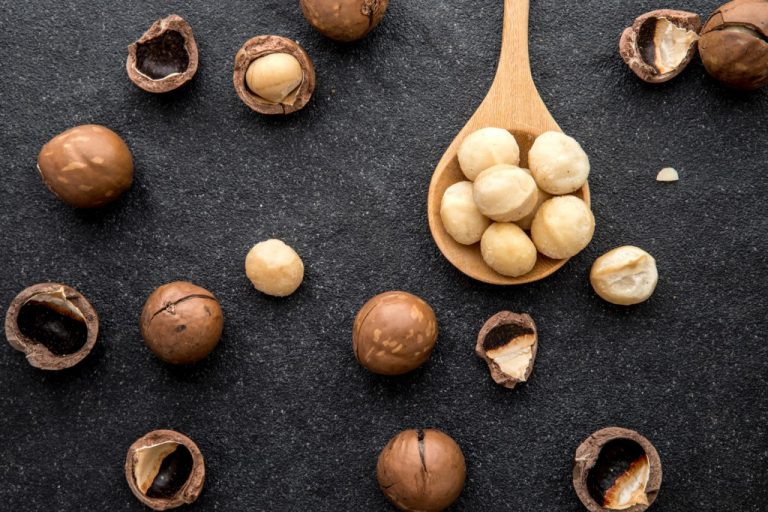 Macadâmia: Para que serve, valor nutricional, benefícios e malefícios ...