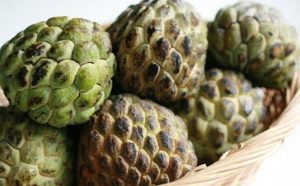 Pinha: Para que serve, propriedades, benefícios e uso | Cura Natural