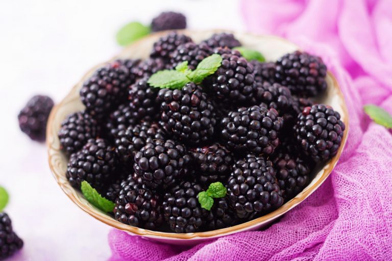 Amora: Para que serve, benefícios, como usar e malefícios | Cura Natural