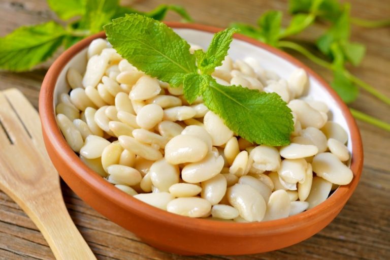 Fava: Para que serve, valor nutricional, benefícios e malefícios | Cura ...