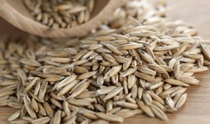 Centeio: Para que serve, valor nutricional, benefícios e malefícios ...