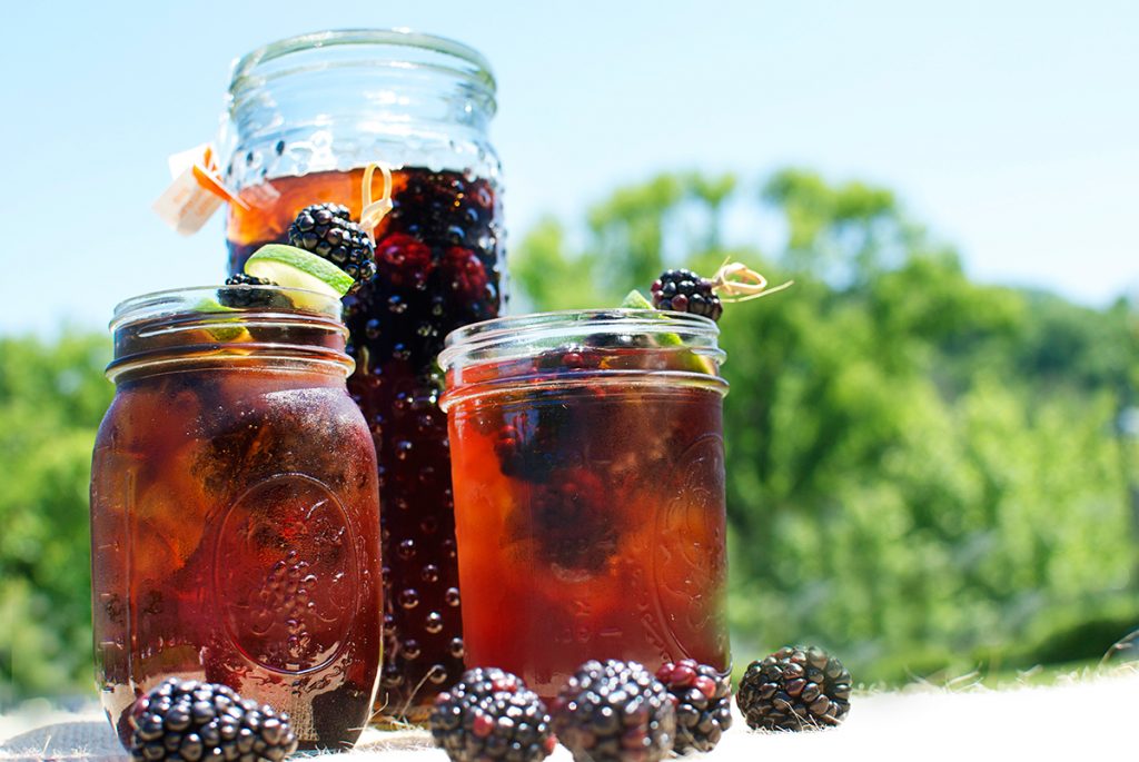 Chá de Amora: Para que serve, benefícios, receitas e malefícios | Cura ...