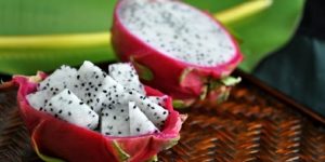 Tucum Fruta: Para que serve, valor nutricional, benefícios e malefícios ...