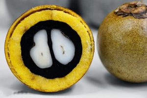 Macaúba melhora as articulações: veja 20 benefícios da fruta | Cura Natutal