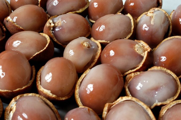 Pitomba: Para que serve, valor nutricional, benefícios e uso | Cura Natural