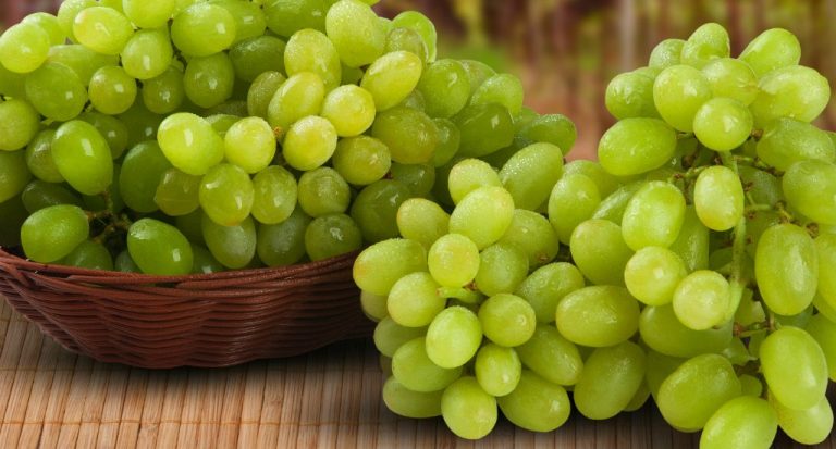 Uva verde: Para que serve, valor nutricional, benefícios e malefícios ...