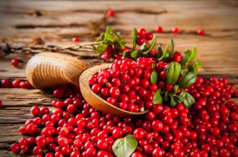 Arando vermelho Fruta: Valor nutricional, benefícios, como usar e ...