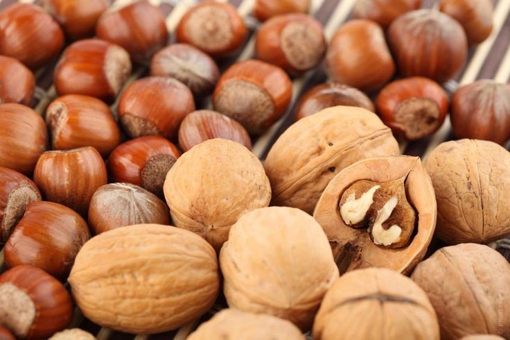 Avelã: Para que serve, valor nutricional e benefícios | Cura Natural