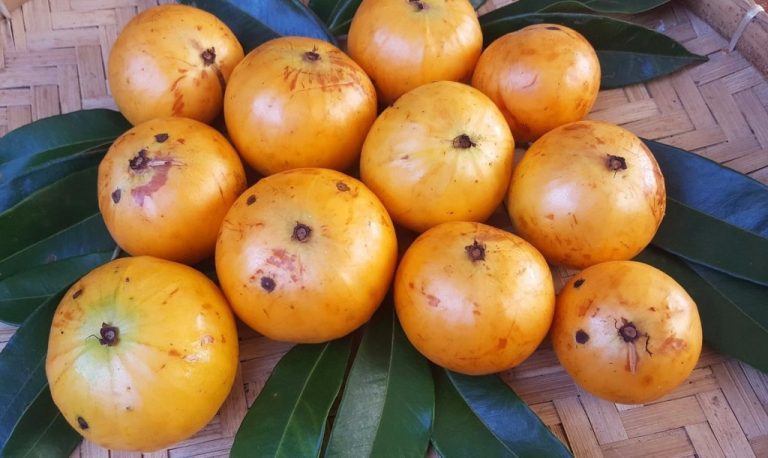 Cambucá Fruta: O que é, valor nutricional, benefícios e como usar ...