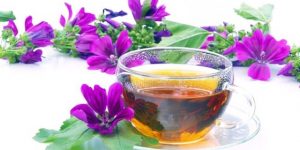 Chá de nim indiano: Para que serve, como usar e benefícios | Cura Natural