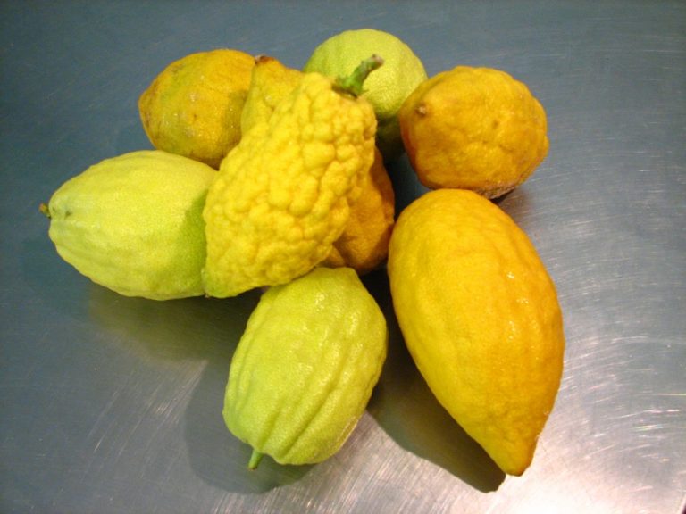 Cidra Fruta: O que é, valor nutricional, benefícios e receitas | Cura ...