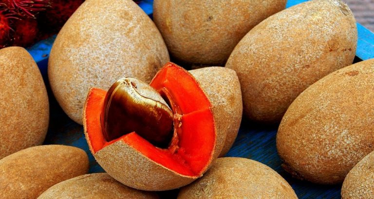 Mamey Fruta: Para que serve, valor nutricional e benefícios | Cura Natural