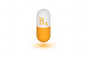 Vitamina B4 - O que é, Fontes, Benefícios e Deficiências! | Cura Natural