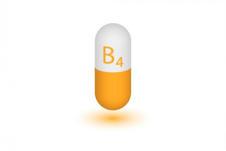 Vitamina B4 - O que é, Fontes, Benefícios e Deficiências! | Cura Natural