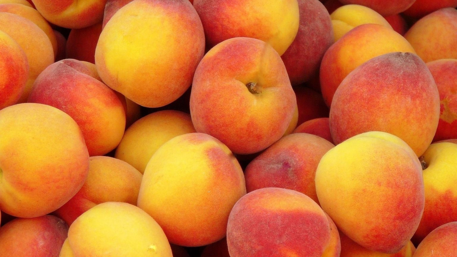 Pêssego: Para que serve, valor nutricional e benefícios | Cura Natural