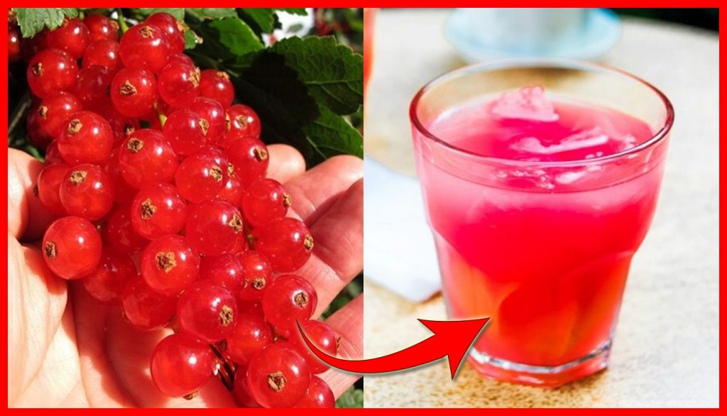 Suco de groselha: Para que serve, valor nutricional e benefícios | Cura ...